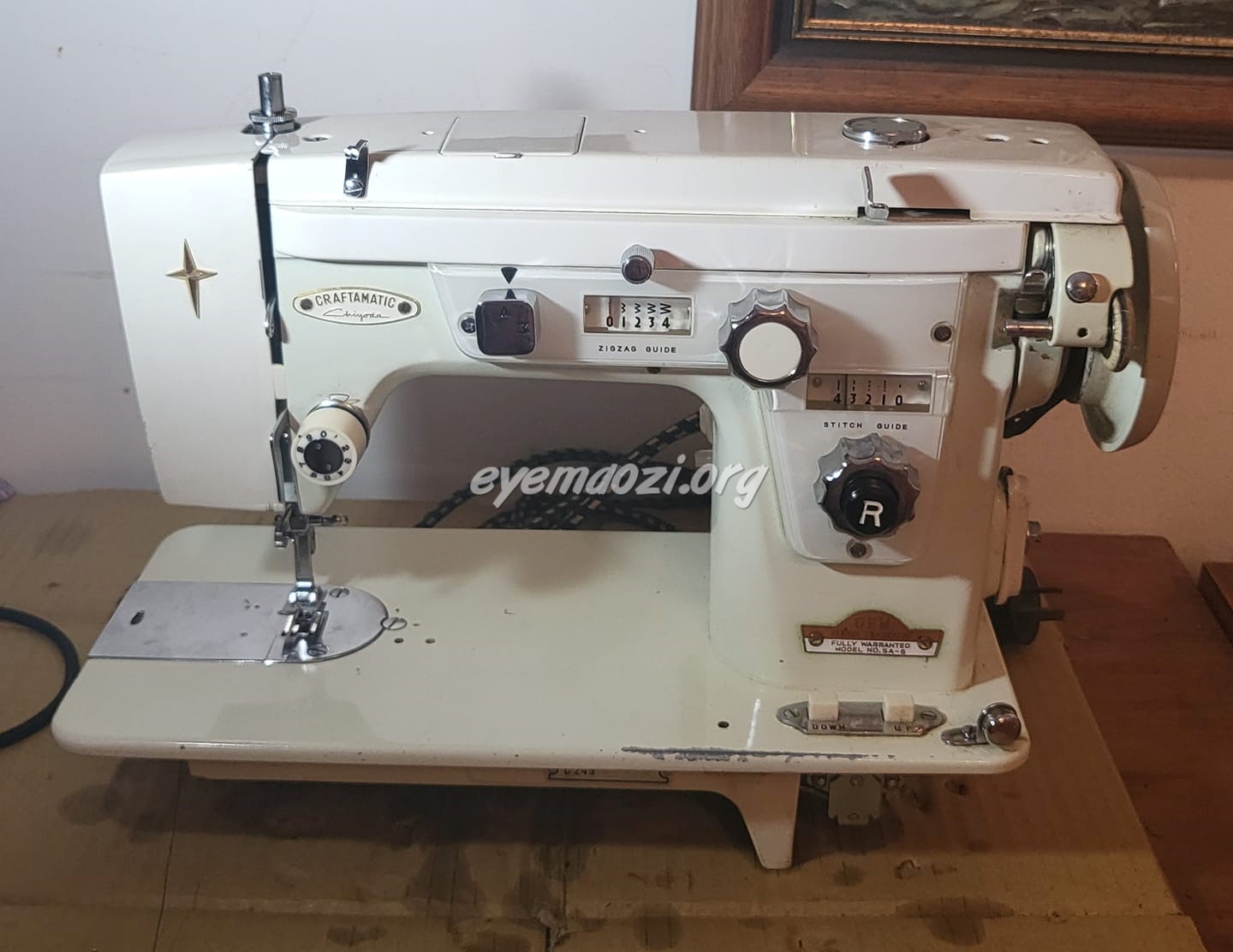 CFM Pinnock Models - Eye Ma Ozi Collector