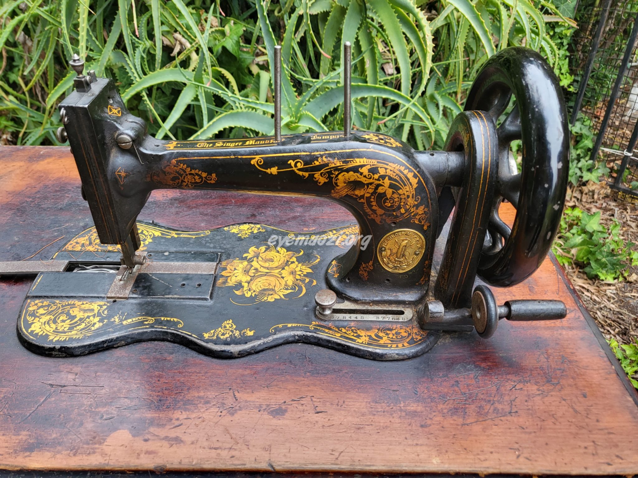 Singer 12k New family - Eye Ma Ozi Collector
