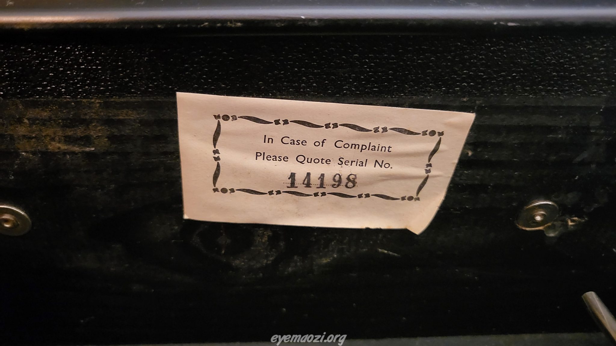 Tailor-bird - Eye Ma Ozi Collector