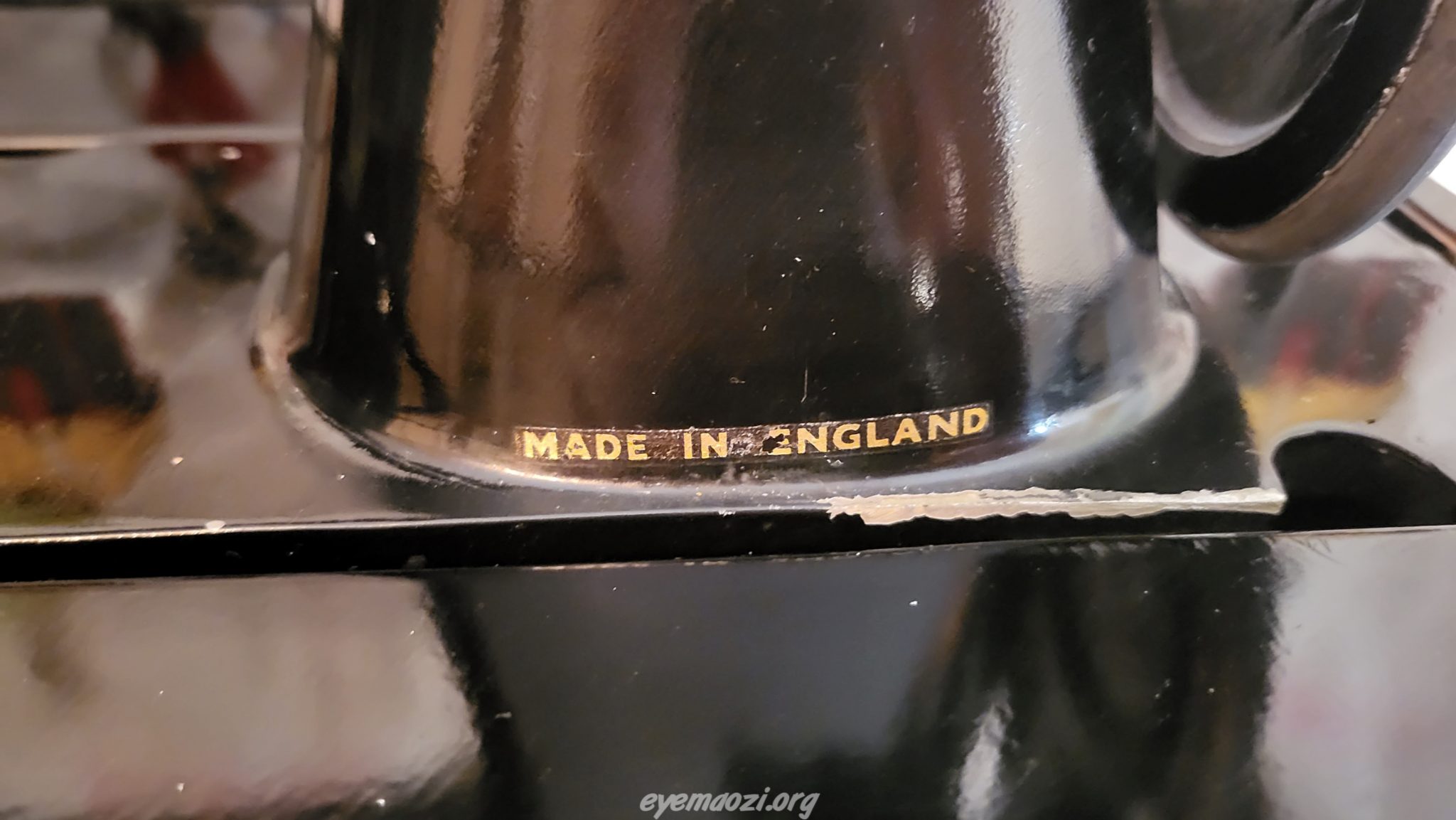 Tailor-bird - Eye Ma Ozi Collector