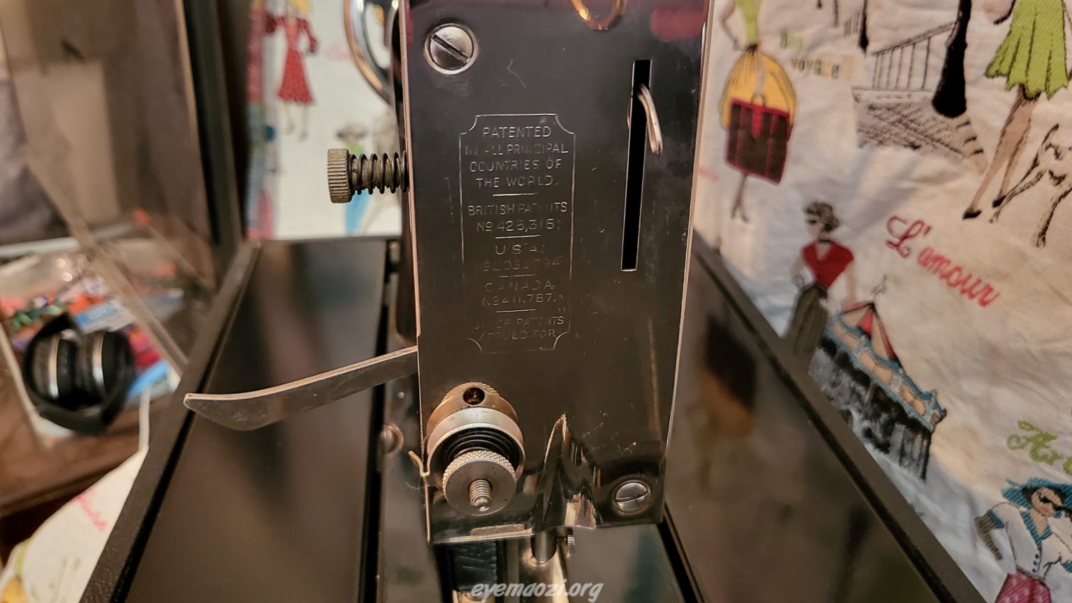 Tailor-bird - Eye Ma Ozi Collector